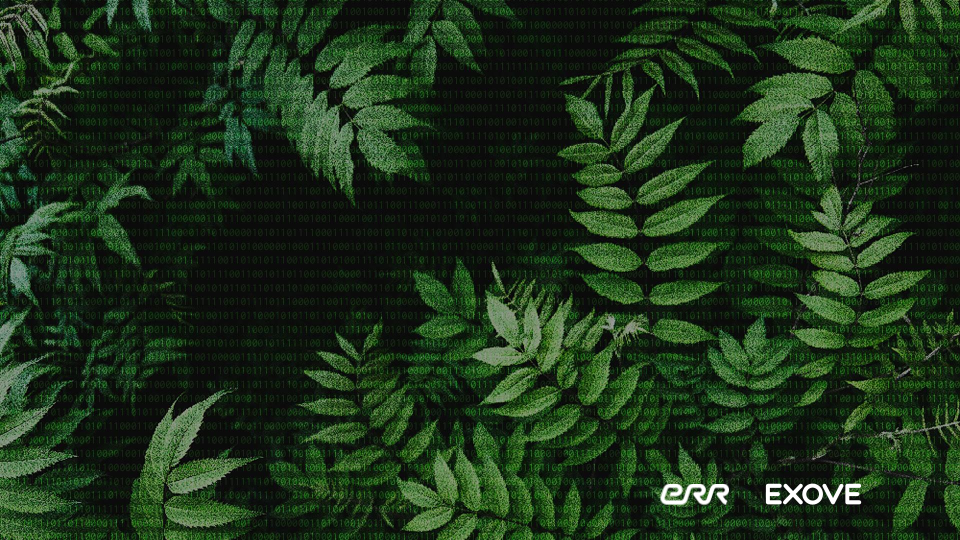 Embracing Green Coding: ERR’s Commitment to Sustainable Development - Exove